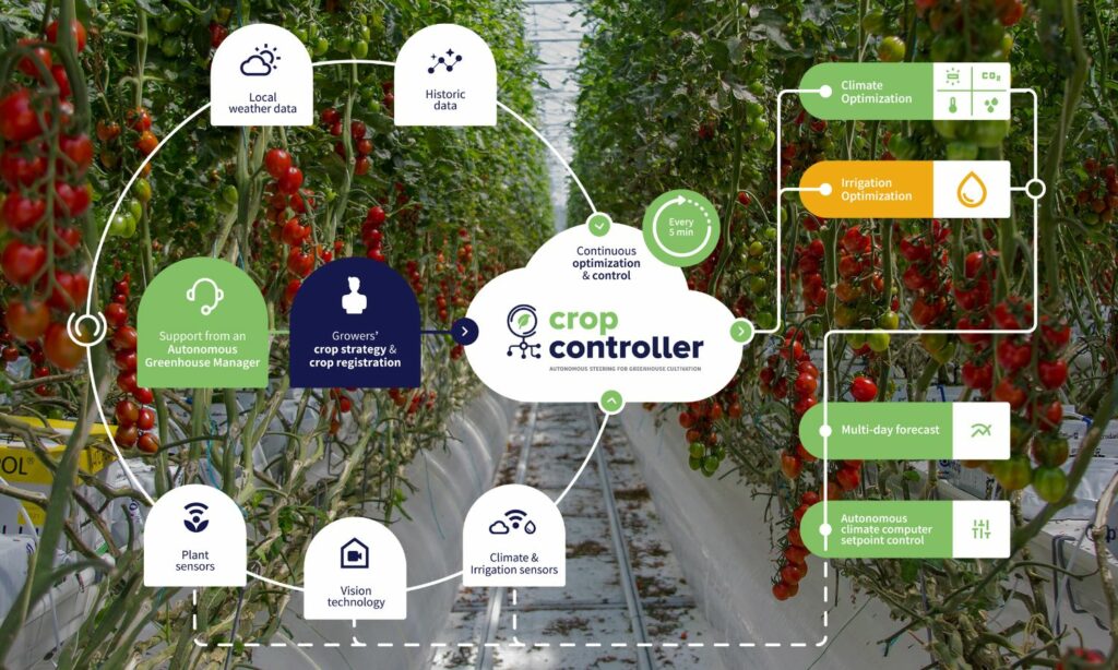 Blue Radix – Your digital brain for growth