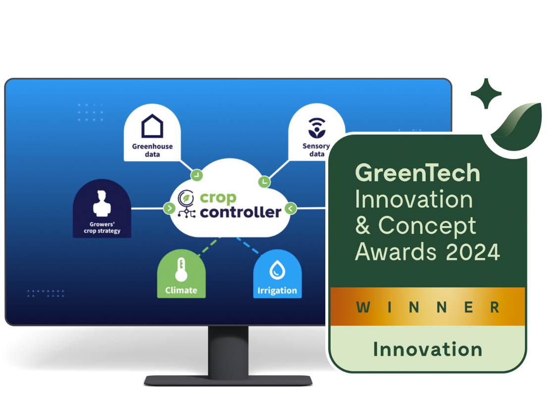 Solutions - Experience the Reality - Blue Radix